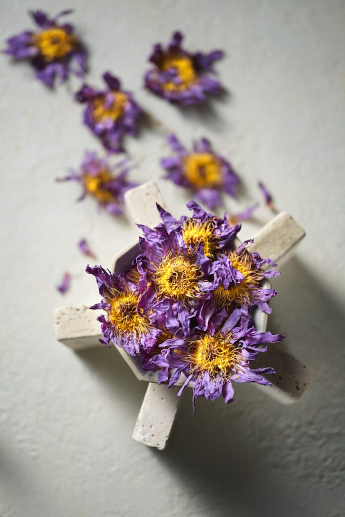 Blue Lotus - Organic Whole Flower Tea - Shoku Iku Australia