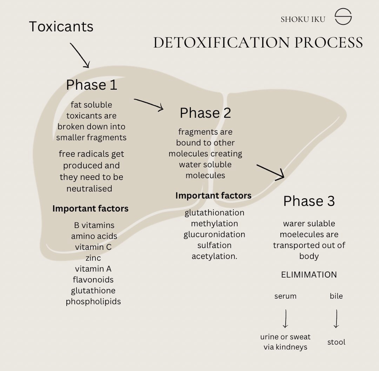How Detoxification Works - Shoku Iku