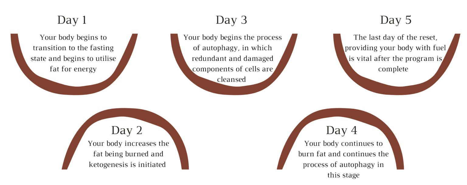 Advanced Reset Program- 5 Days Meal Plan - Shoku Iku