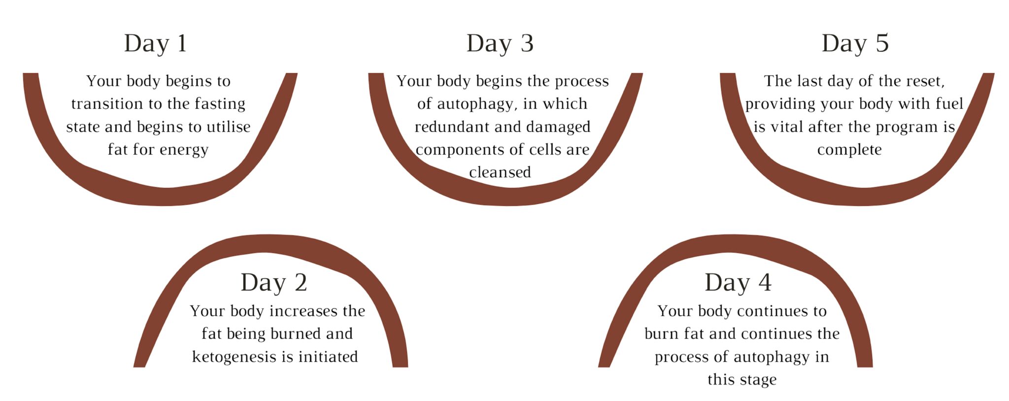 Advanced Reset Program- 5 Days Meal Plan - Shoku Iku